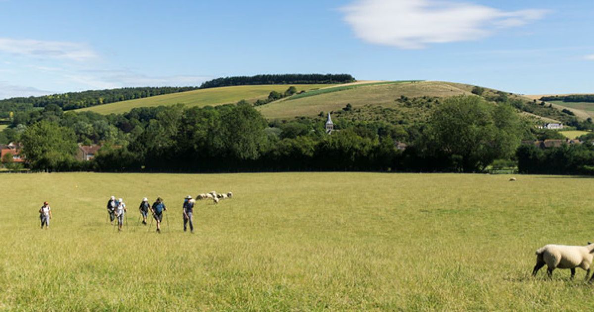 East Meon circular via Hambledon - Ramblers